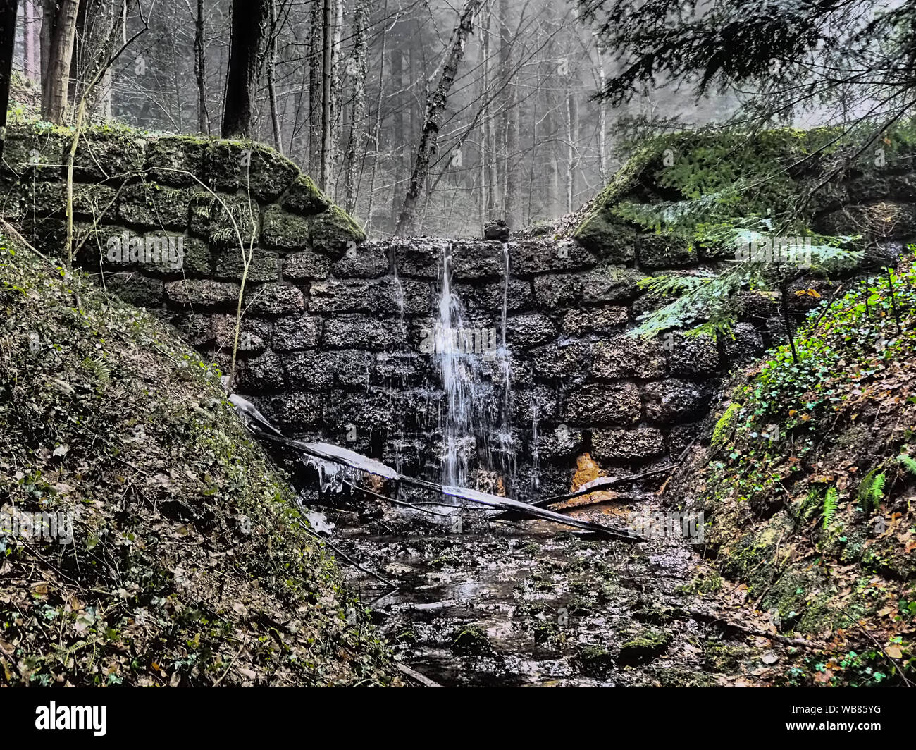 Is the ancient stone forest hi-res stock photography and images - Alamy