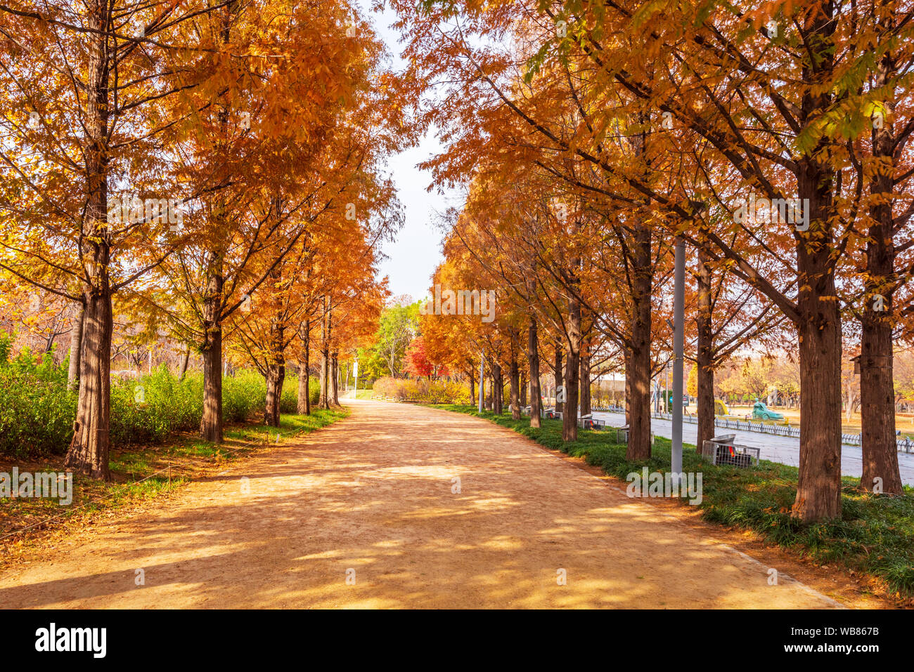 Seoul wallpaper hi-res stock photography and images - Alamy