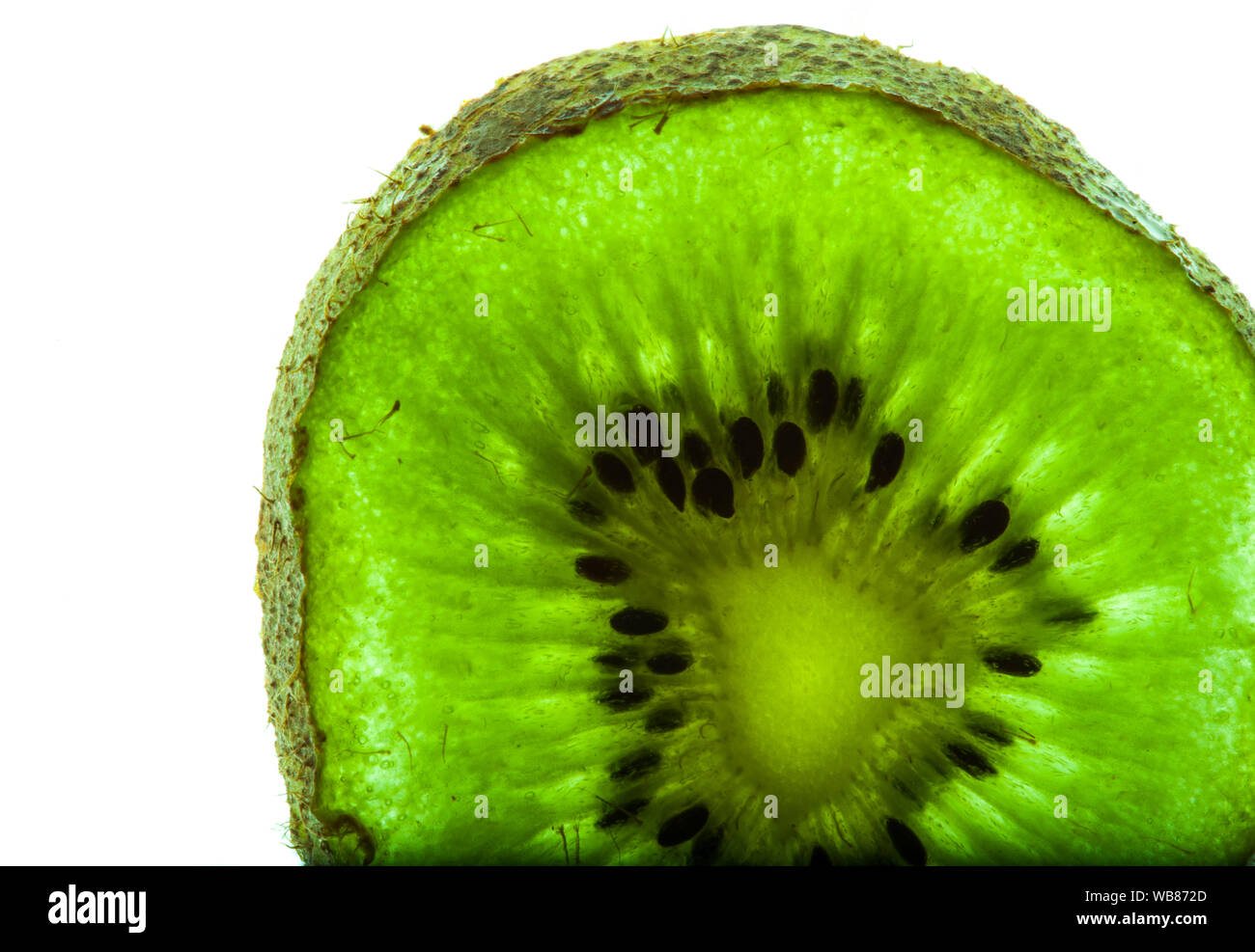 Backlit kiwi fruit slice against isolated white background Stock Photo ...
