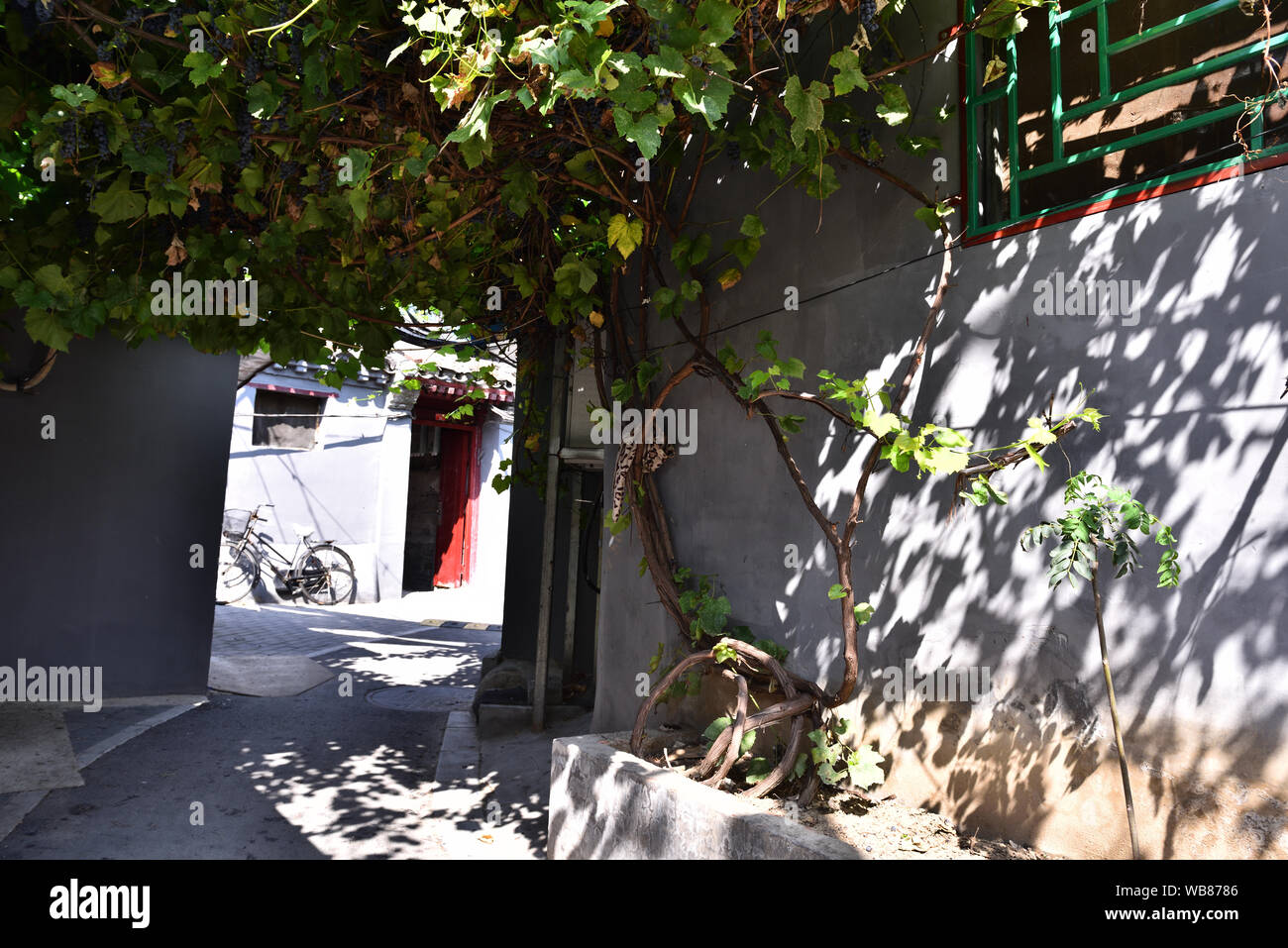 The Hutong alleys in the center of Beijing Stock Photo - Alamy