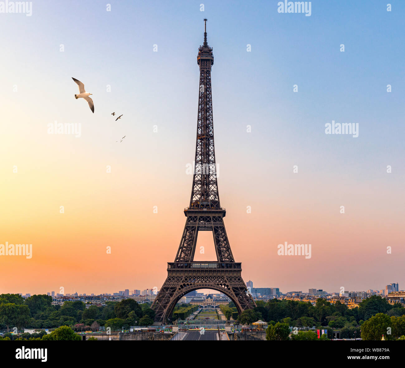 Eiffel tower in summer with flying birds, Paris, France. Scenic ...