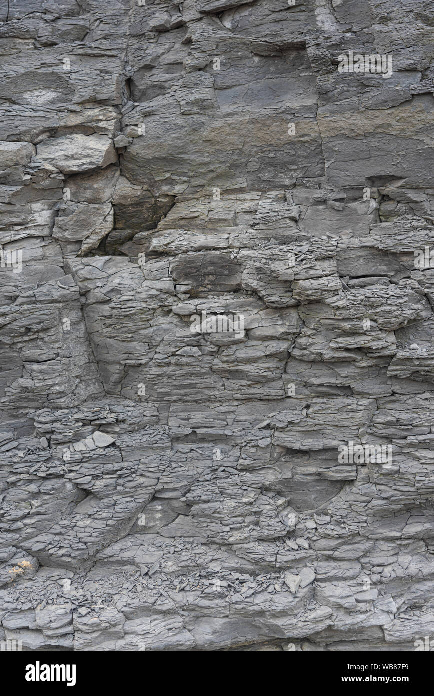 Grey slate cliffs, Kilva beach, Somerset, UK Stock Photo - Alamy