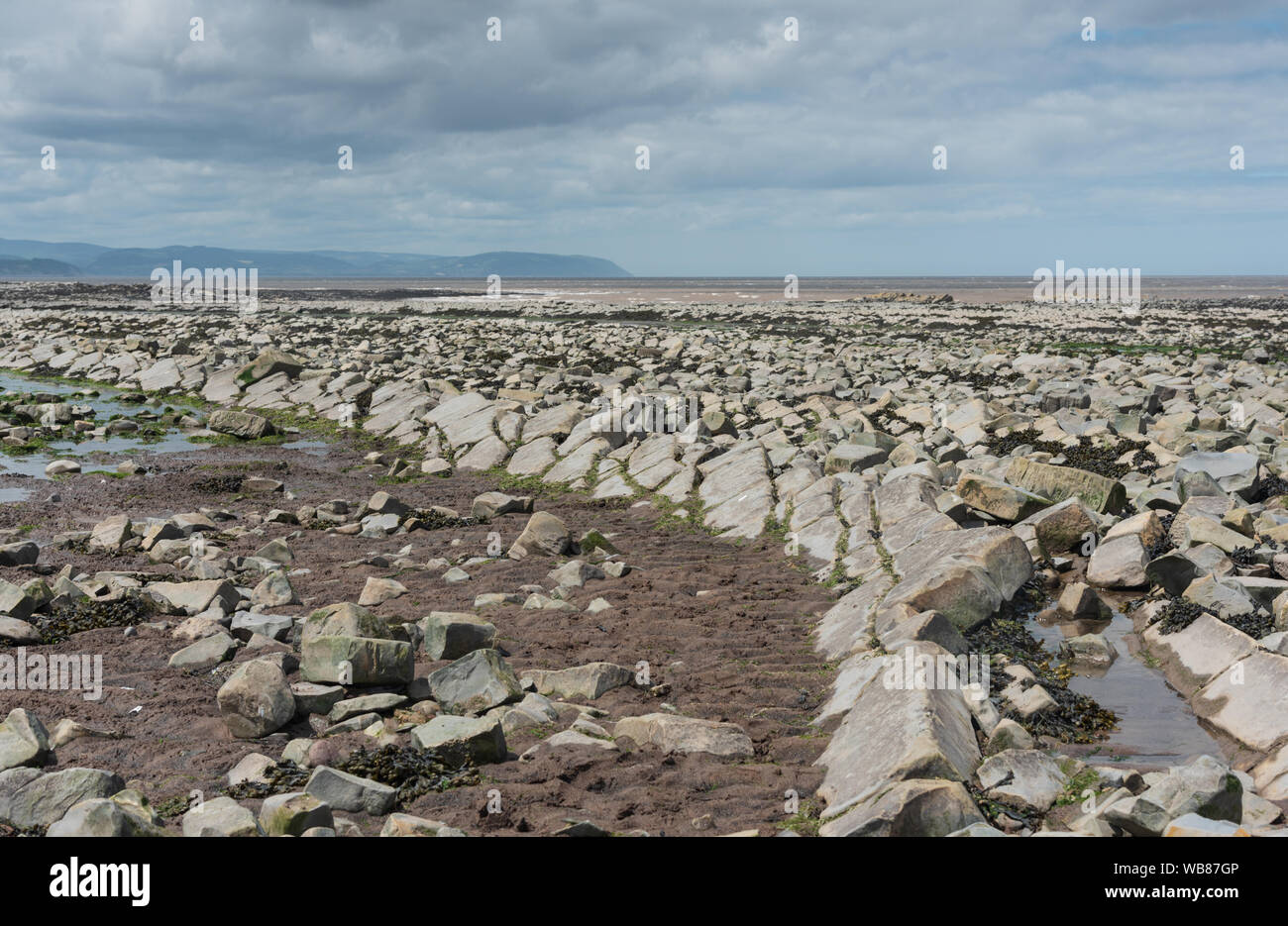 Kilve fossils hi-res stock photography and images - Alamy