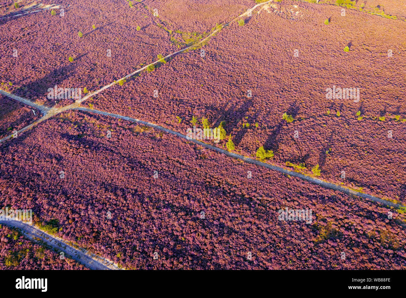 Purple panorama hi-res stock photography and images - Alamy