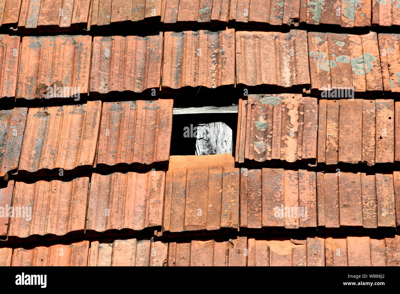 Missing roof tiles hi-res stock photography and images - Alamy