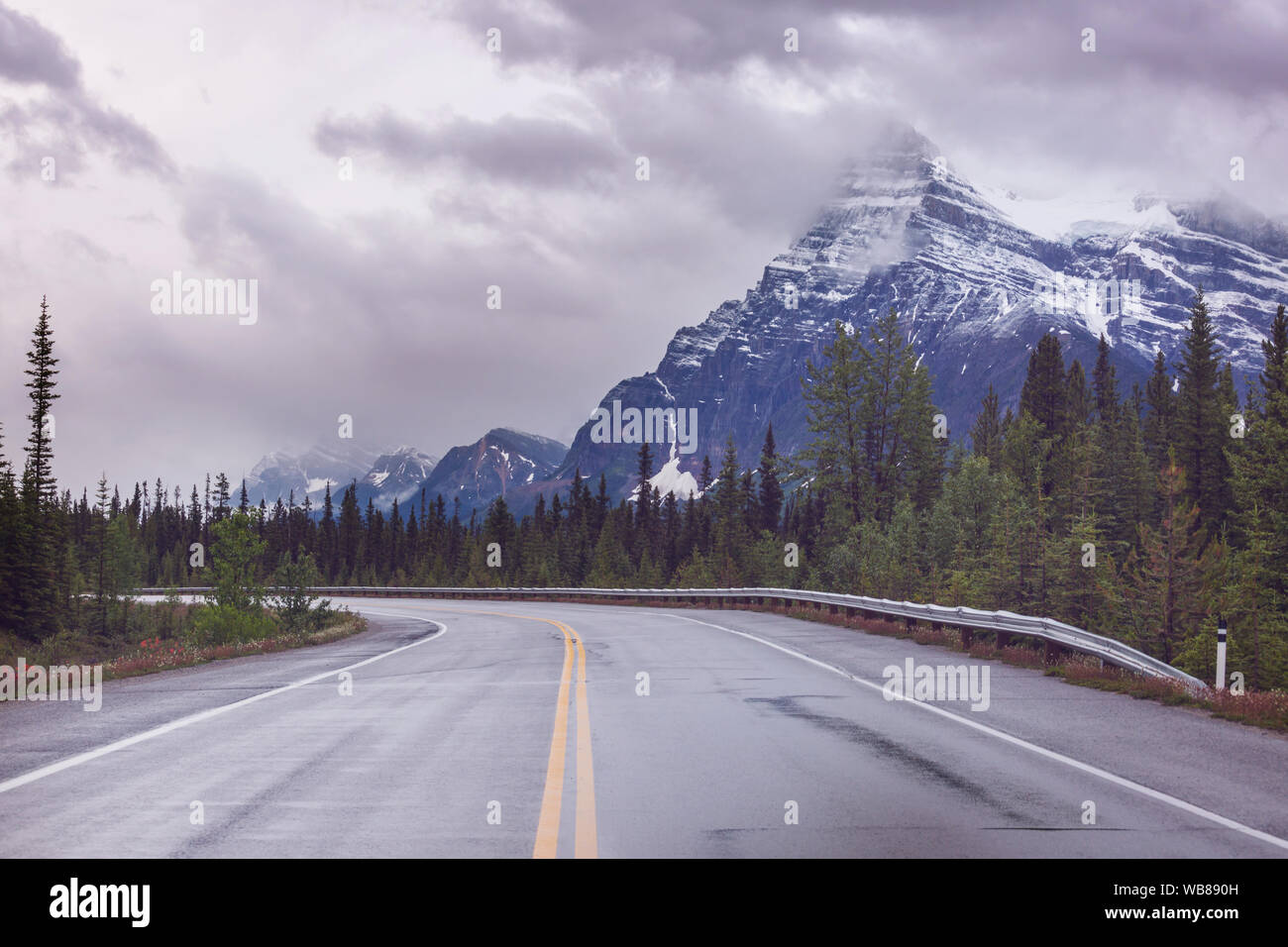 Highway in Canadian forest at summer season Stock Photo - Alamy