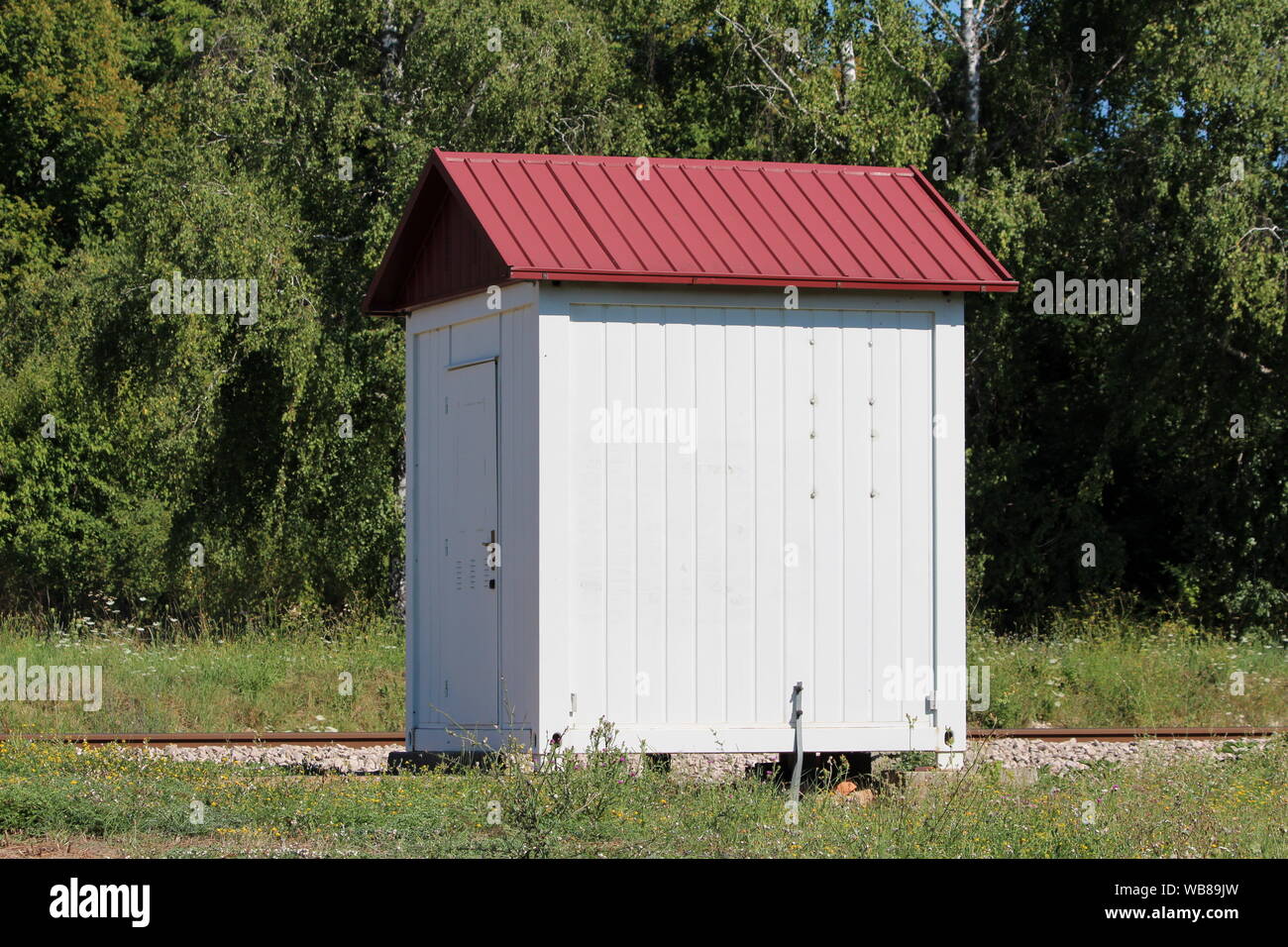 Small metal shipping container converted into storage area with doors ...