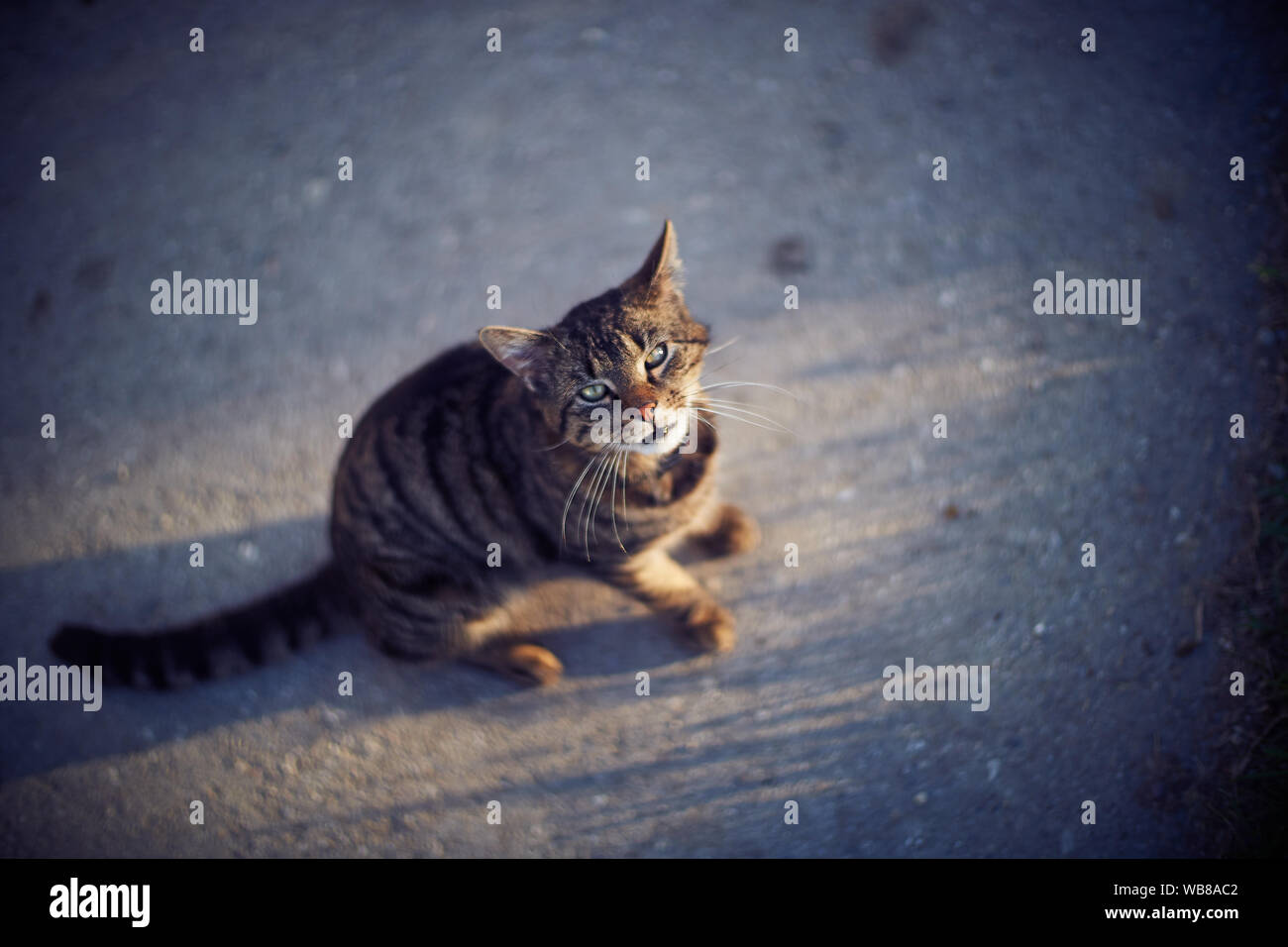 Mood expression hi-res stock photography and images - Alamy