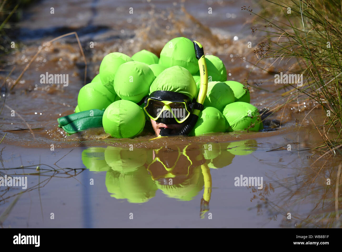 A competitor takes part in the World Bog Snorkelling Championships at ...
