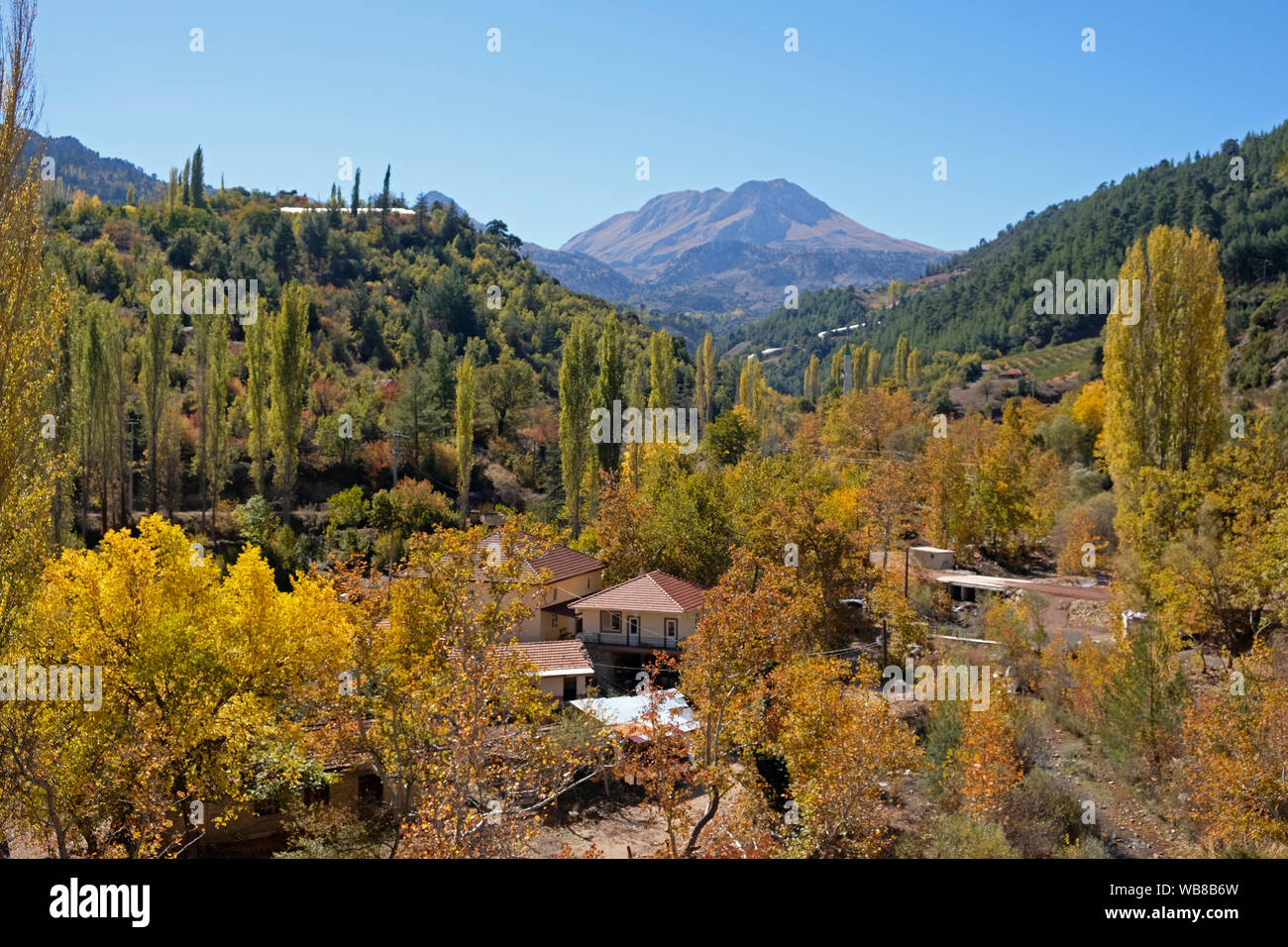 autumn colours in antalya turkey Stock Photo - Alamy