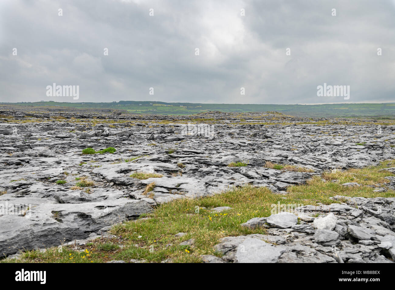 The Burren Limestone Pavement, Co Clare, Ireland Stock Photo - Alamy