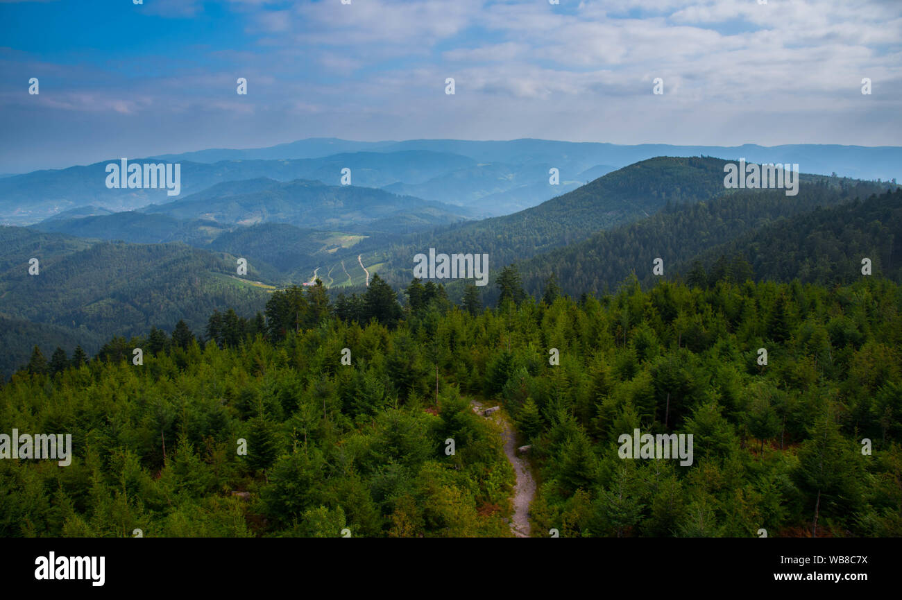 landscape in the mountains of the black forest in germany Stock Photo ...