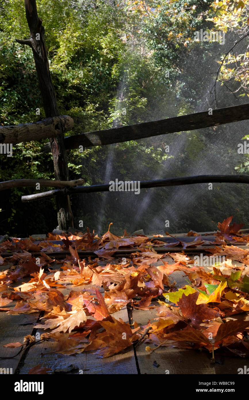 autumn colours in antalya turkey Stock Photo - Alamy