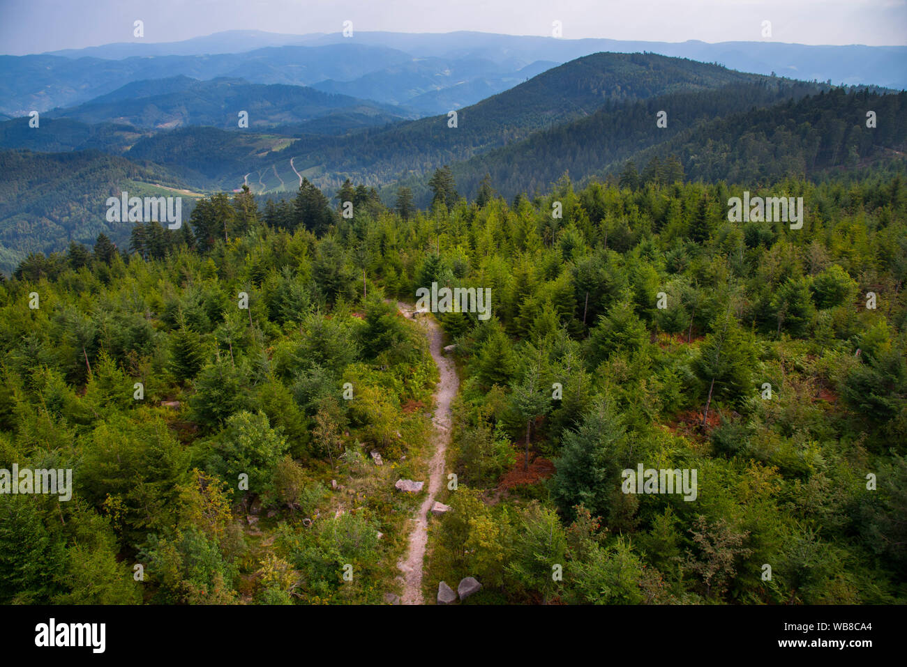 landscape in the mountains of the black forest in germany Stock Photo ...
