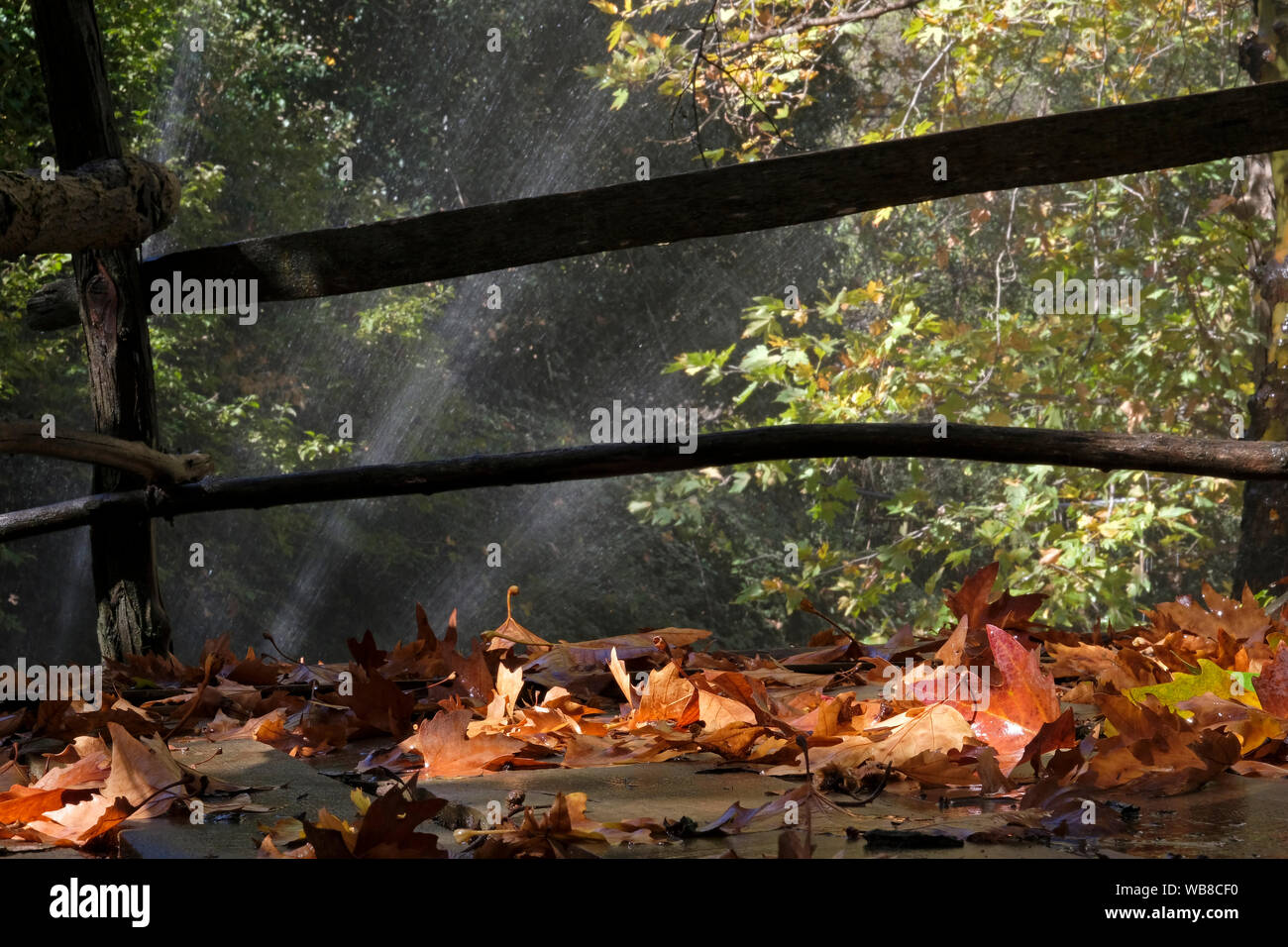 autumn colours in antalya turkey Stock Photo - Alamy