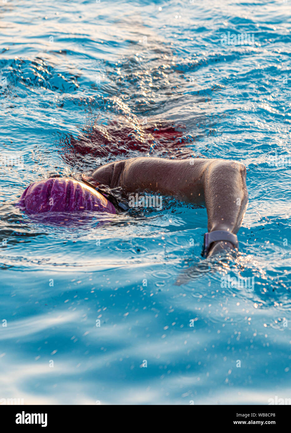 Swimmer front crawl hi-res stock photography and images - Alamy