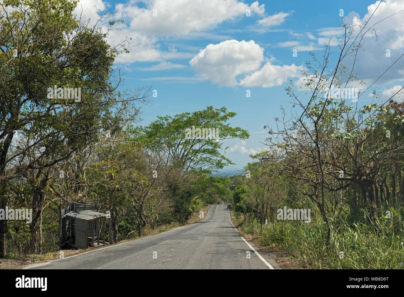 Beautiful forest landscape mountain range hi-res stock photography and ...
