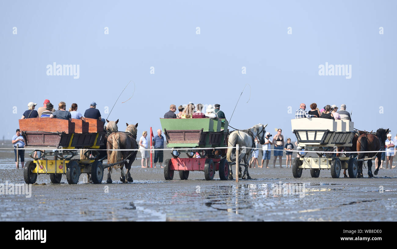 Wagon drivers hi-res stock photography and images - Alamy