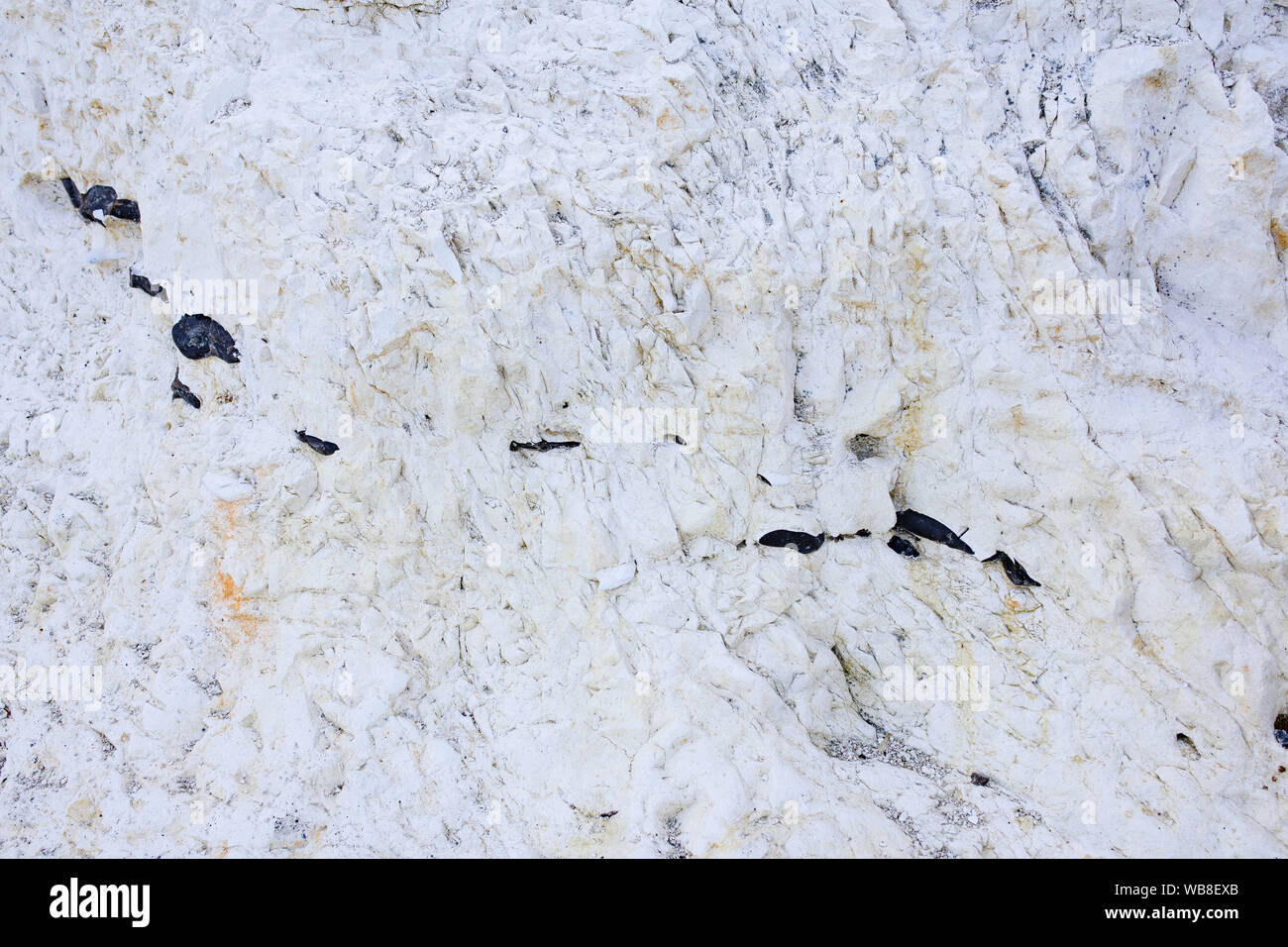 A black flint layer in the white chalk. Chalky cliffs on island Rugen ...