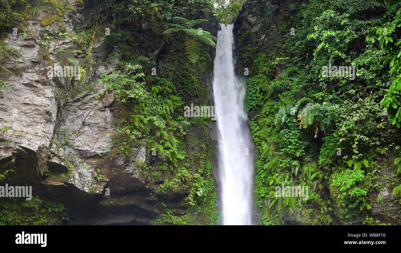 Waterfall in green rainforest. Tropical Tuasan Falls in mountain jungle ...