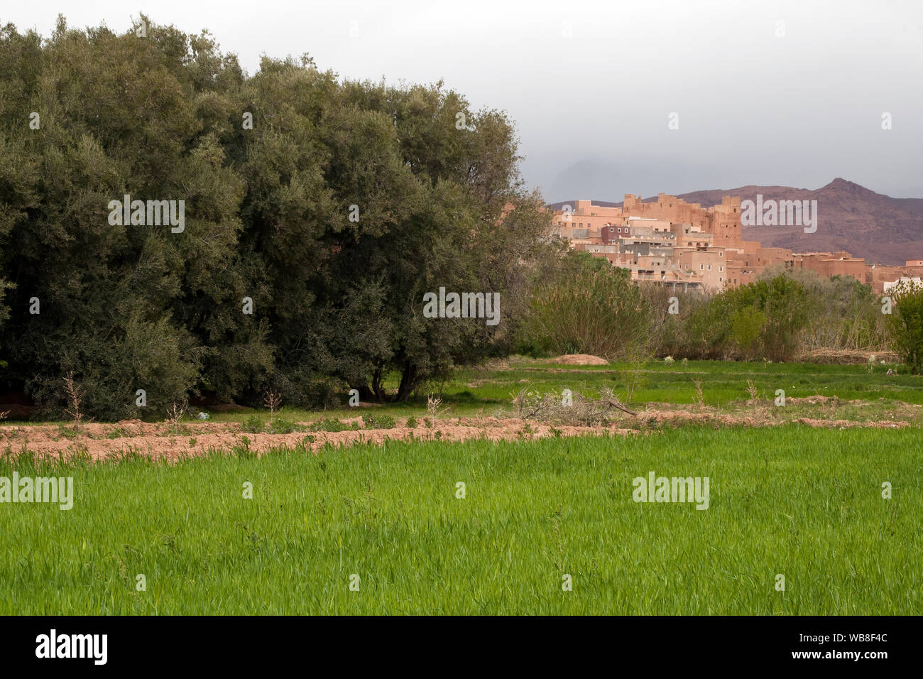 Rural Morocco, agriculture field with mud brick village in background ...