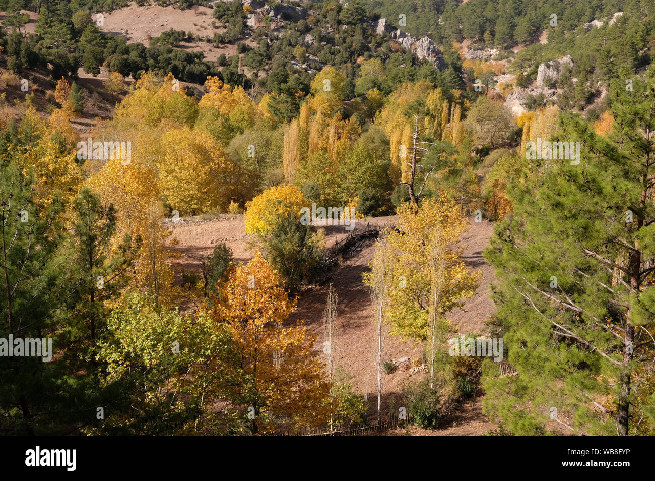 autumn colours in antalya turkey Stock Photo - Alamy
