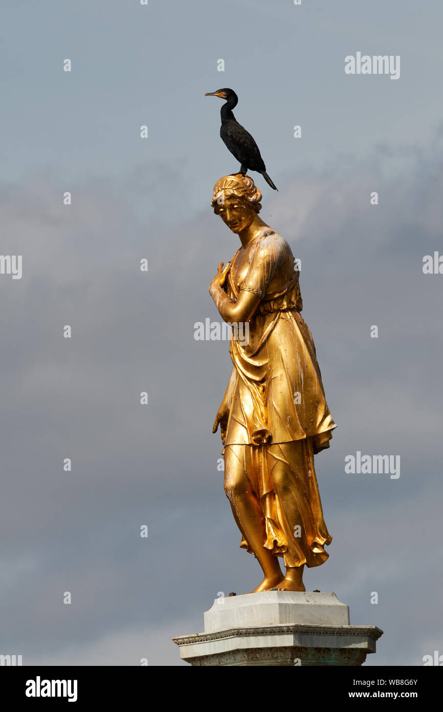 Cormorant Statue High Resolution Stock Photography and Images - Alamy
