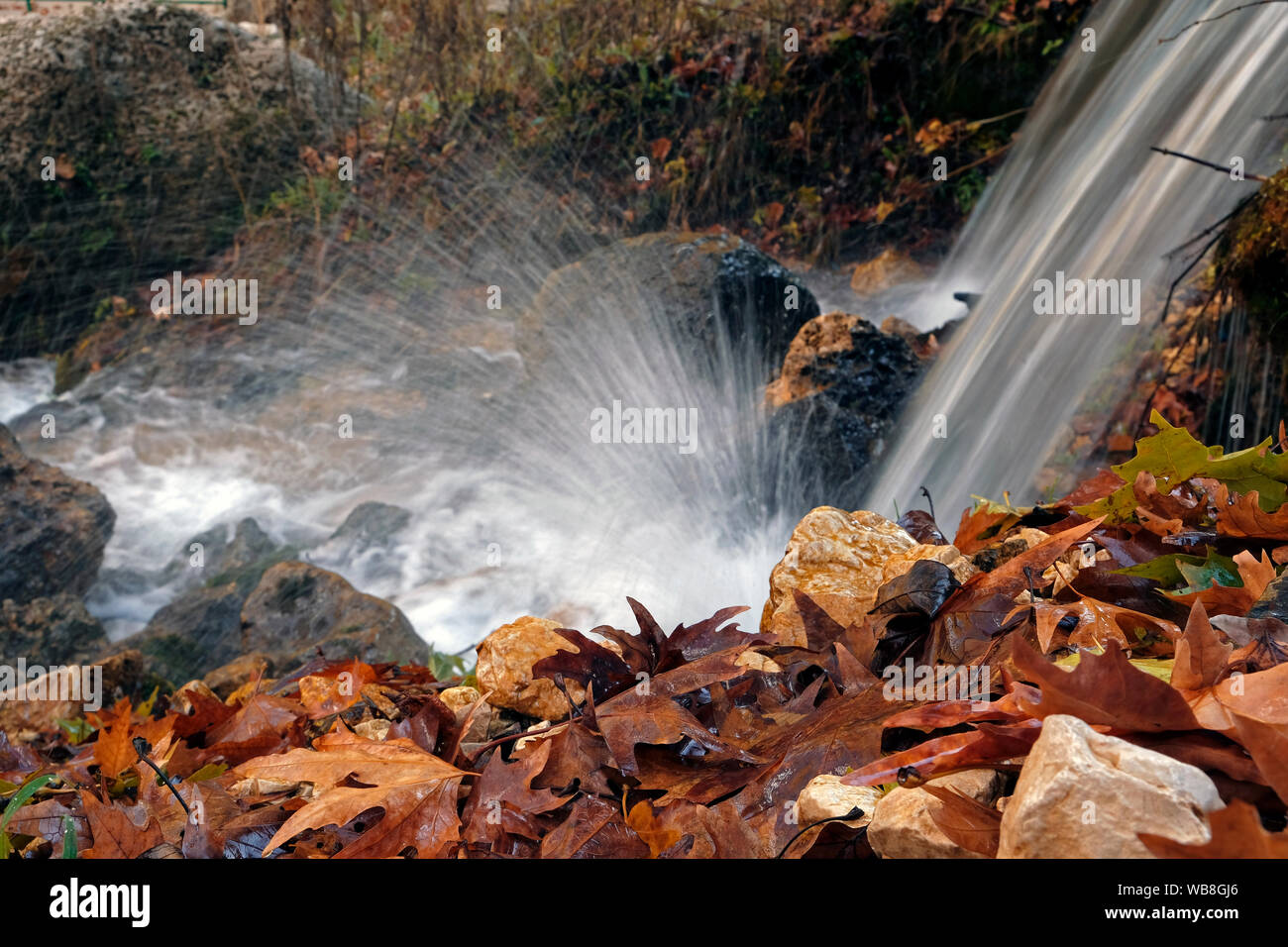 Seasonal displays hi-res stock photography and images - Alamy