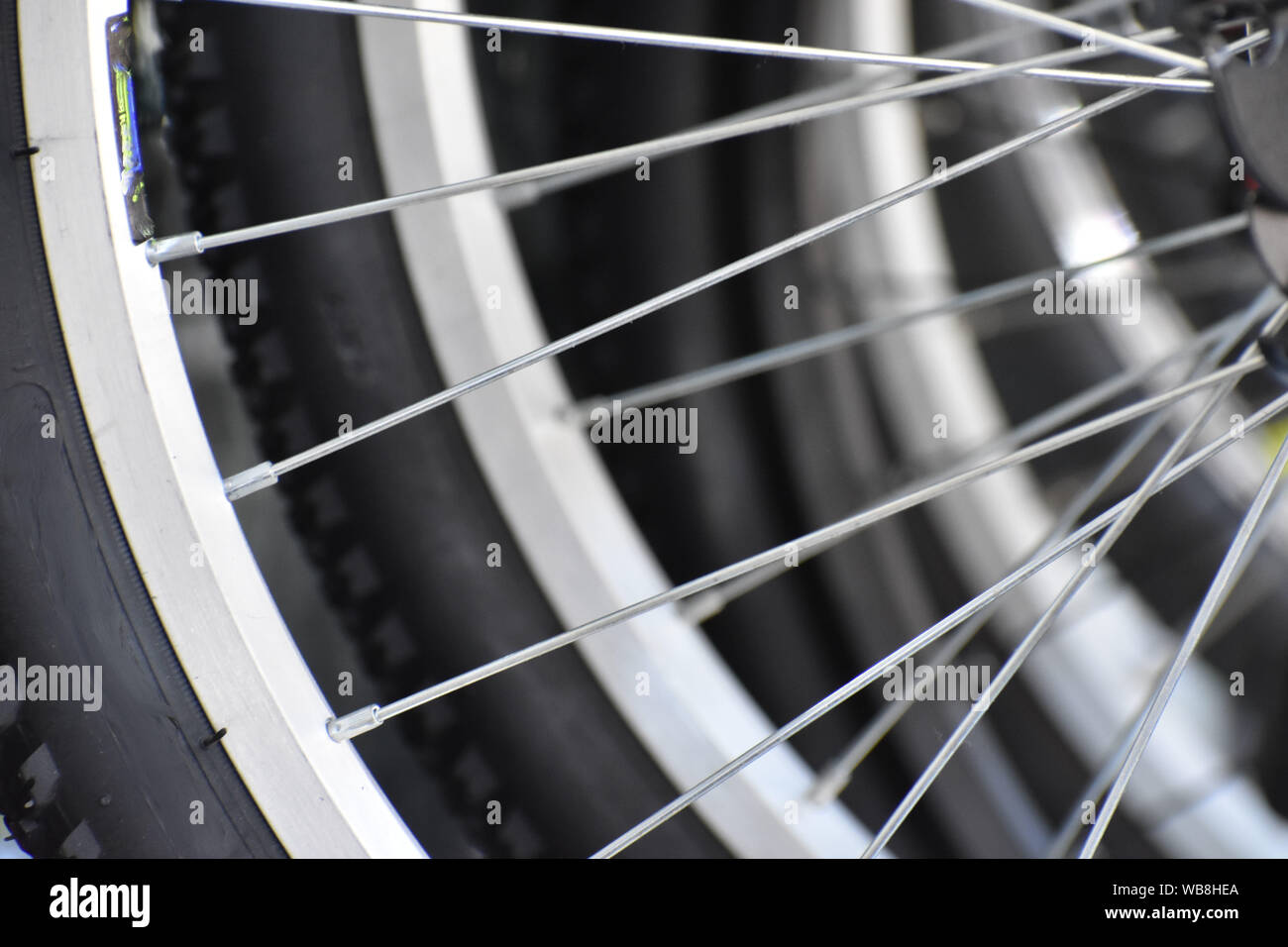 Bicycle tires hi-res stock photography and images - Alamy