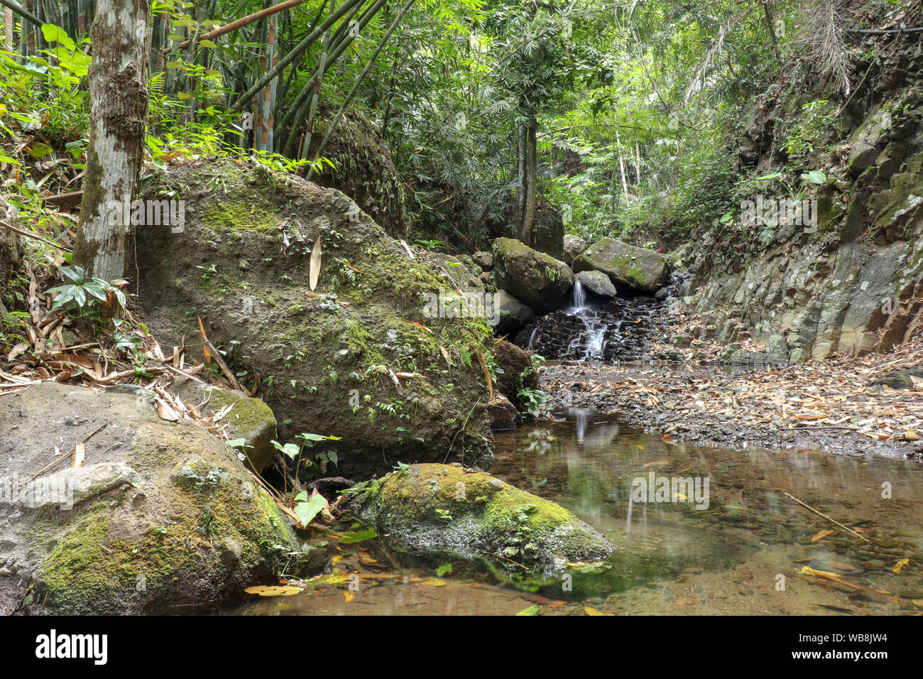 Mountain river in tropical jungle flowing over rocks. Huge boulders ...