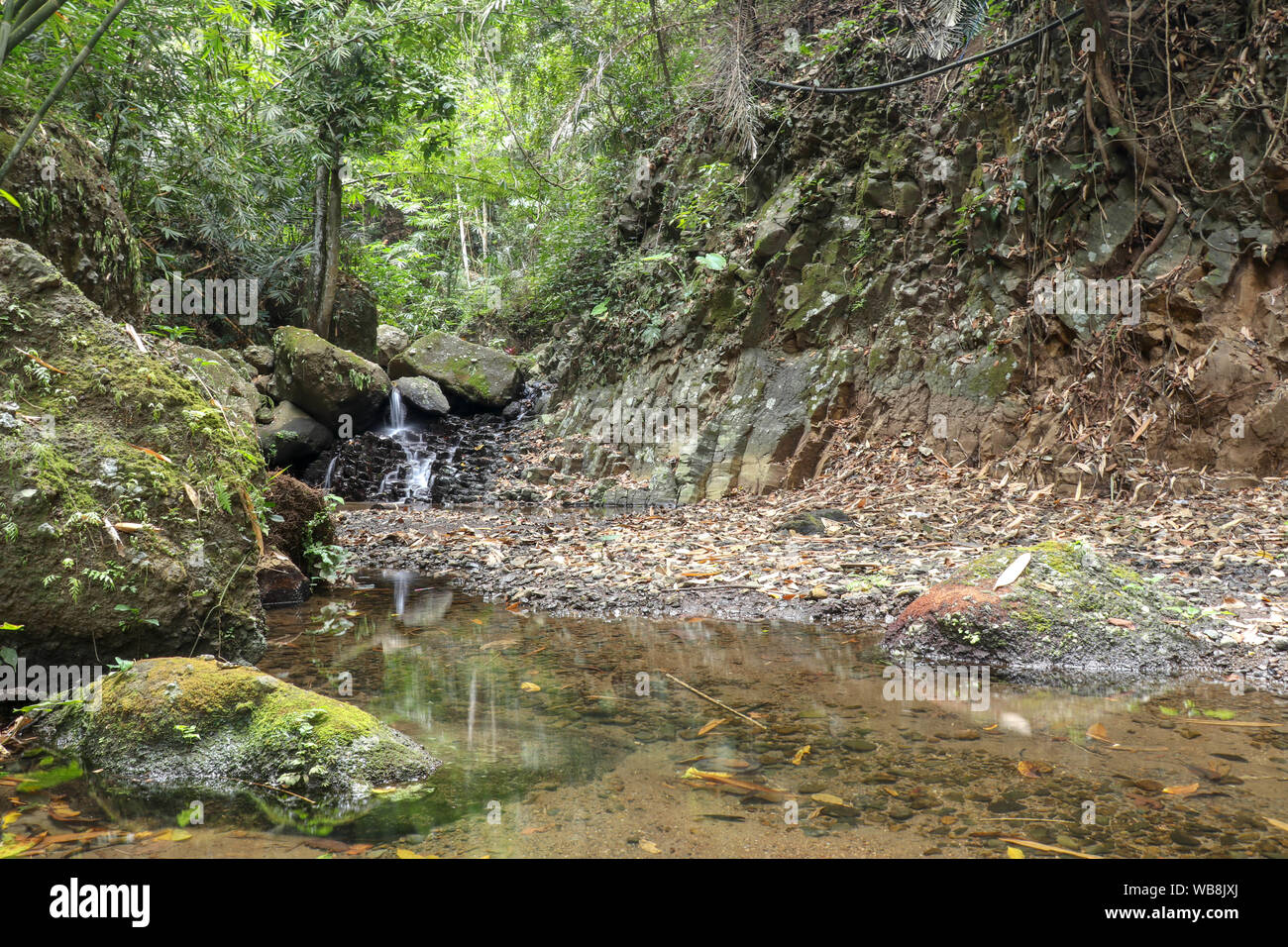 Small river in mountains in rain forest on Bali island in Indonesia ...