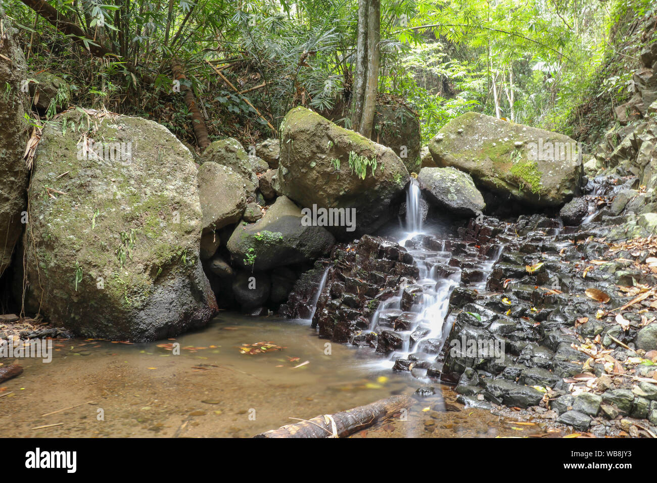 Mountain river in tropical jungle flowing over rocks. Huge boulders ...