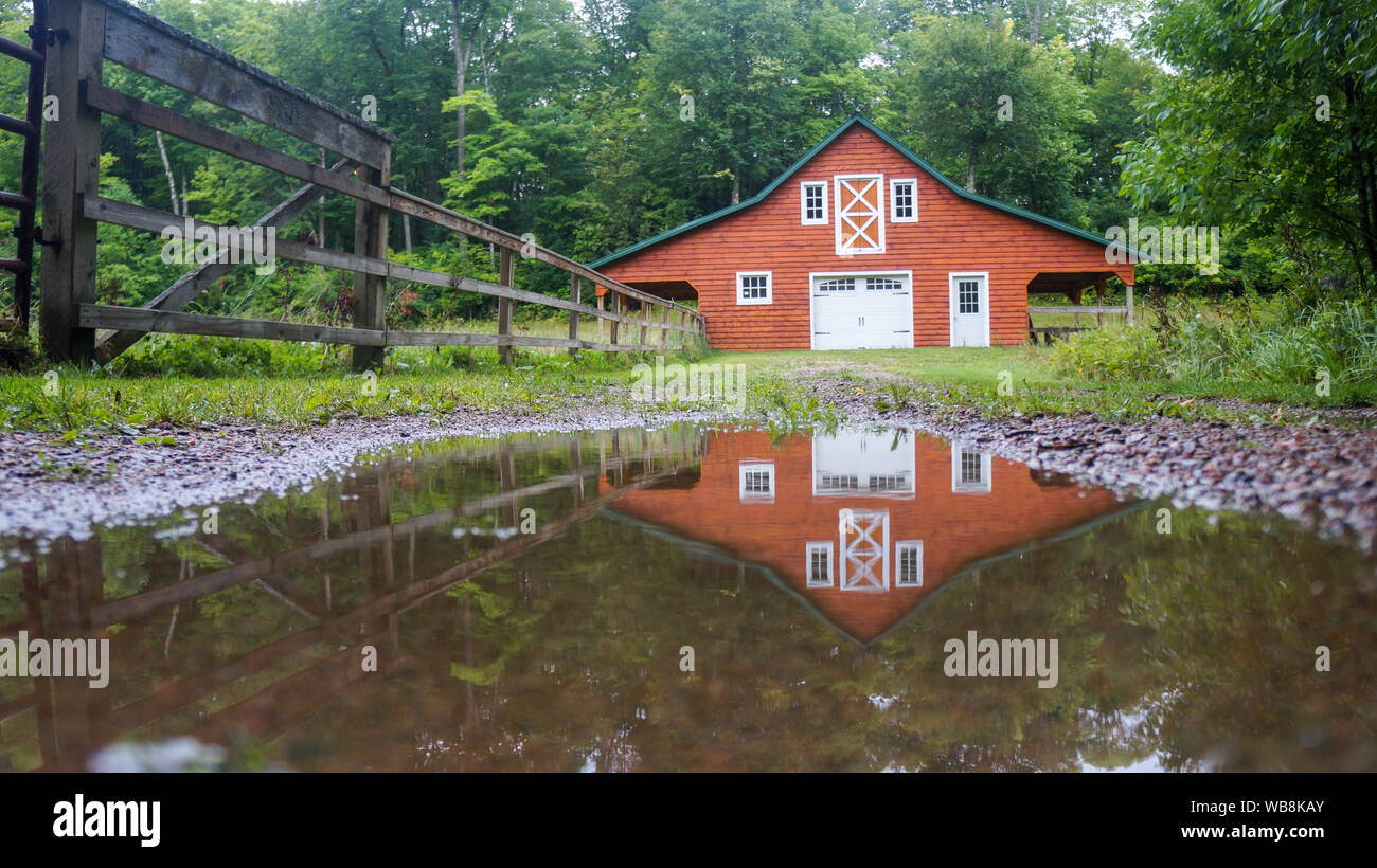 Horse after rain hi-res stock photography and images - Alamy