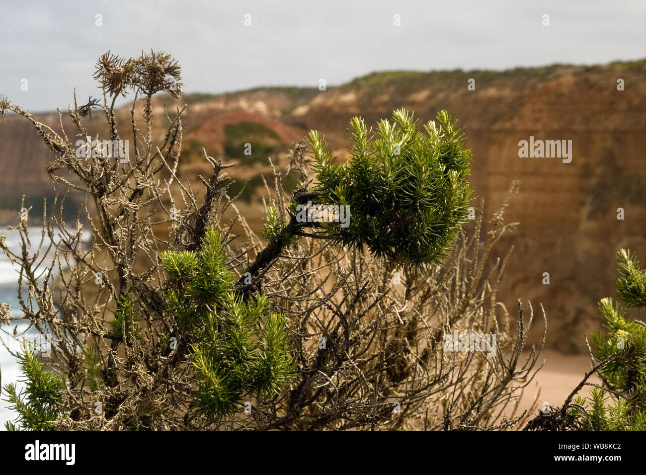 The Razorback rock in Port Campbell National Park, Victoria, Australia ...