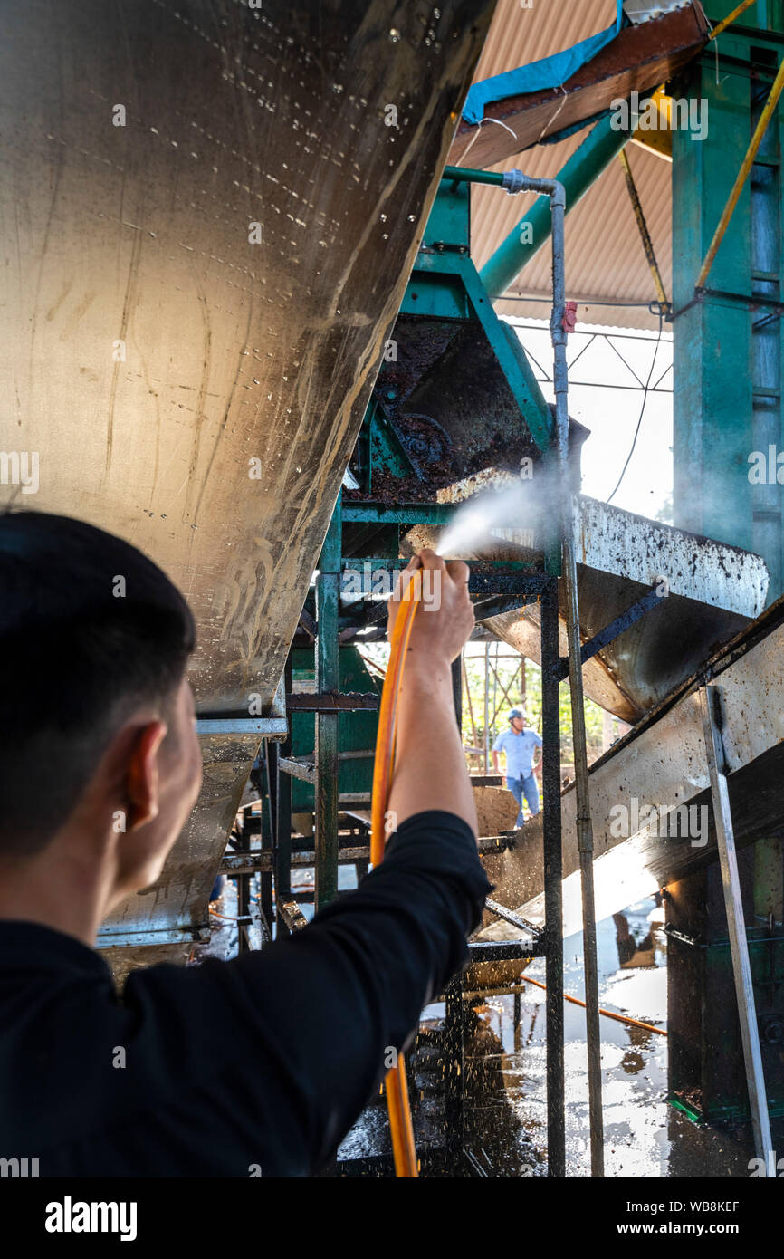 Coffee production hi-res stock photography and images - Alamy