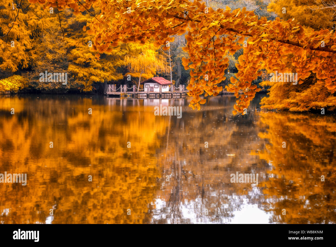 Beautiful house in autumn Stock Photo - Alamy