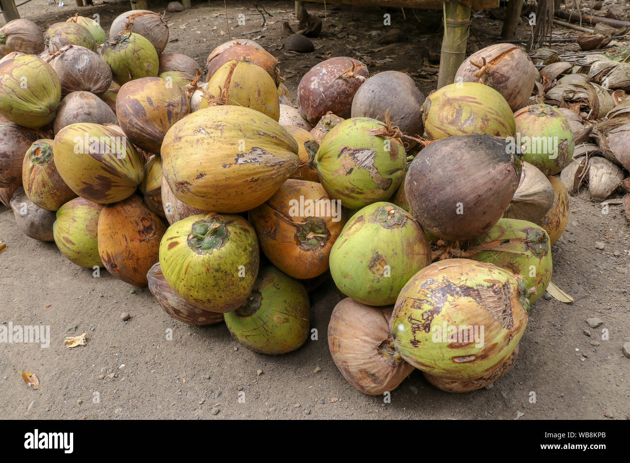 Old coconut stacked in rows, in several layers on top of each other ...