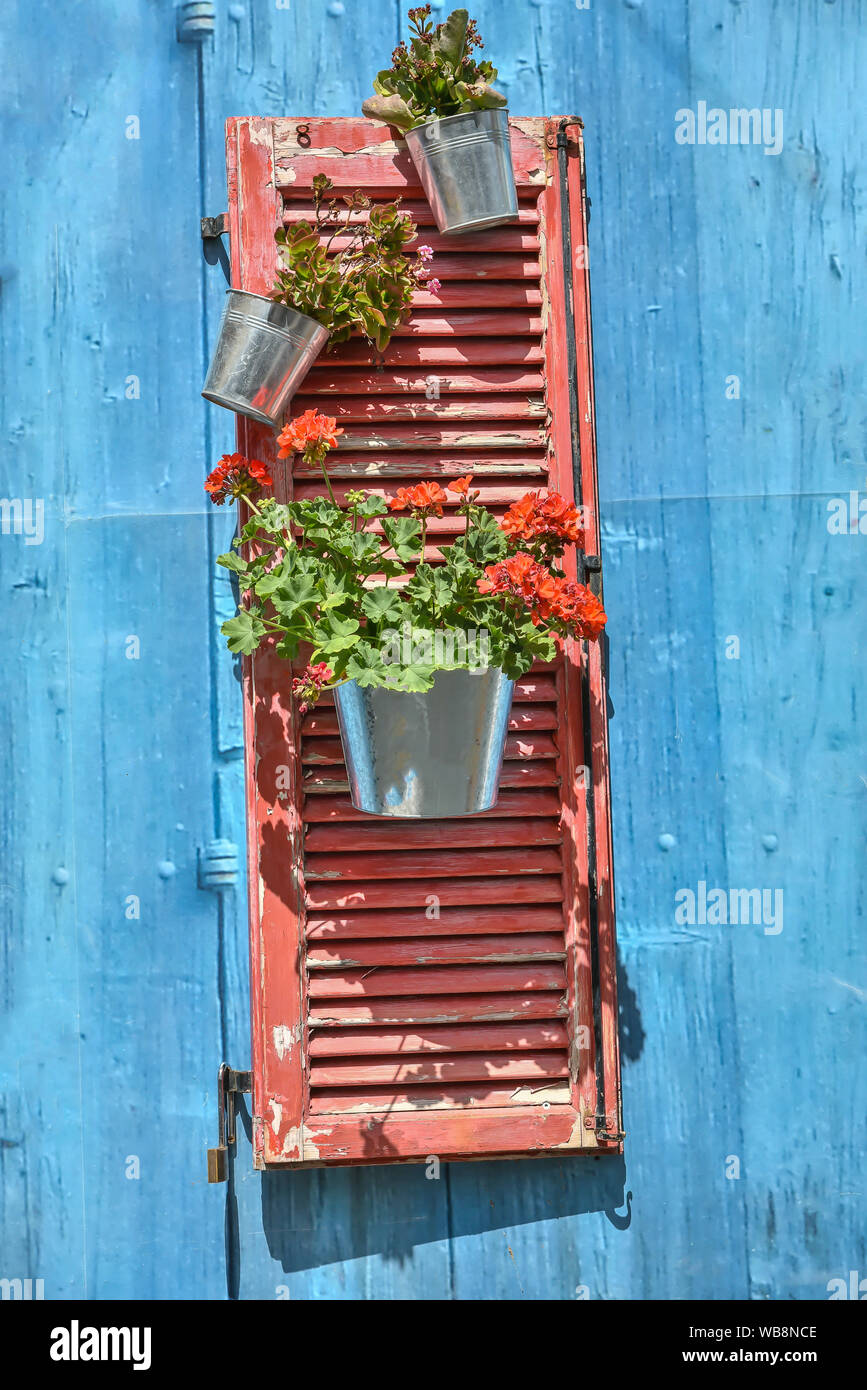 vertical garden hardwood, wall, green roof strip line Stock Photo - Alamy