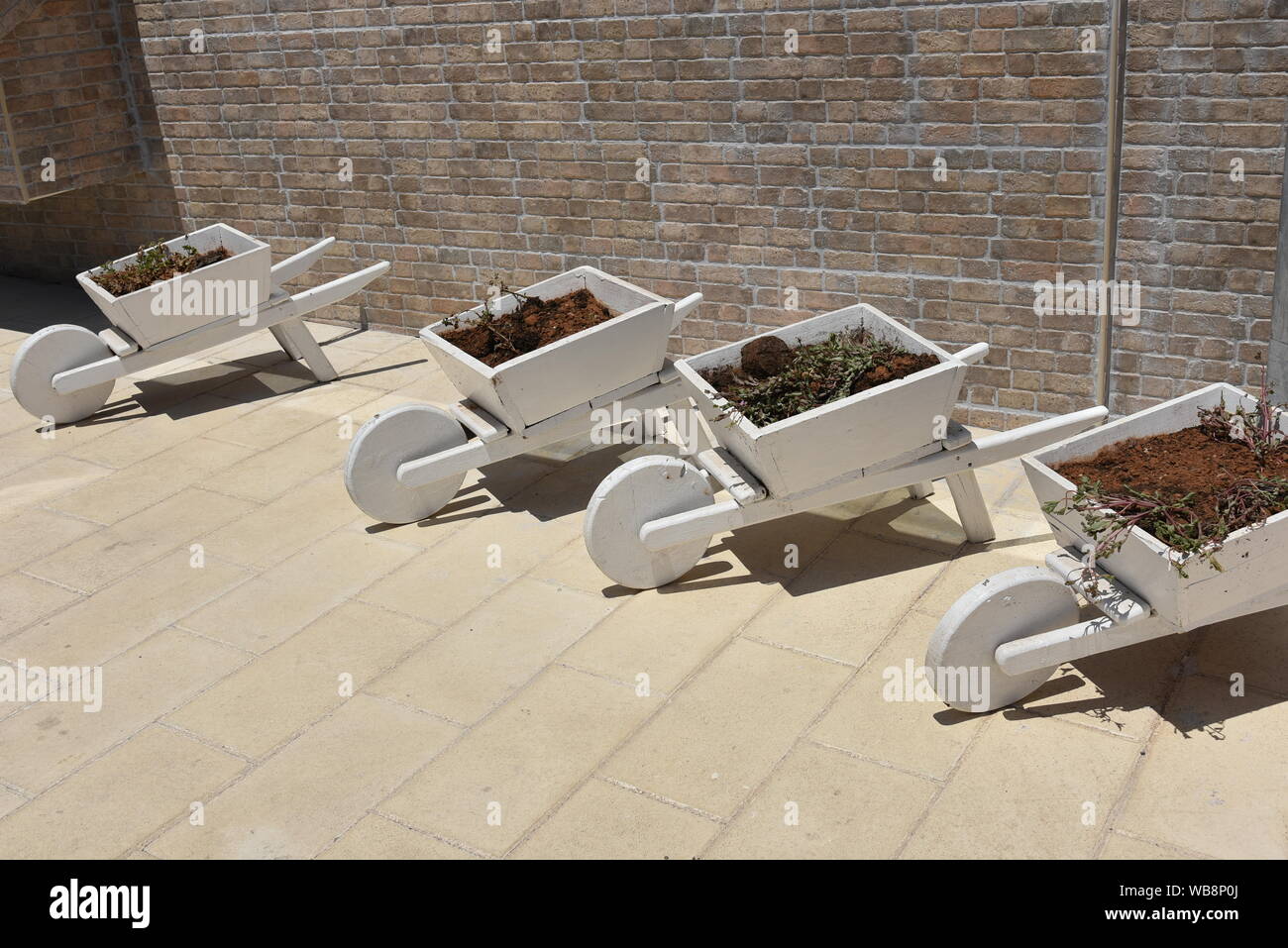 White Wooden Gardening Wheelbarrow High Resolution Stock Photography ...