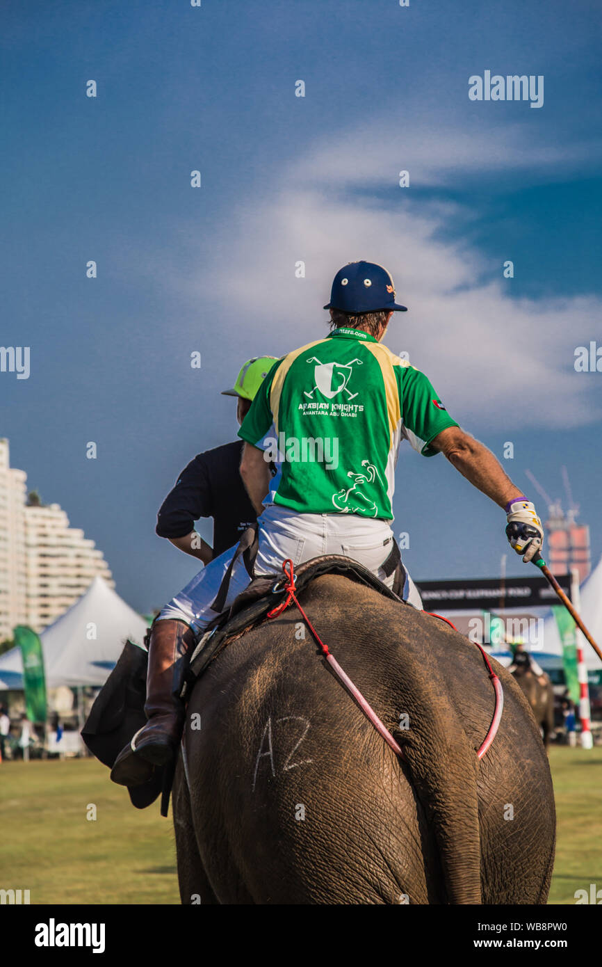 Elephant polo in jaipur hi-res stock photography and images - Alamy