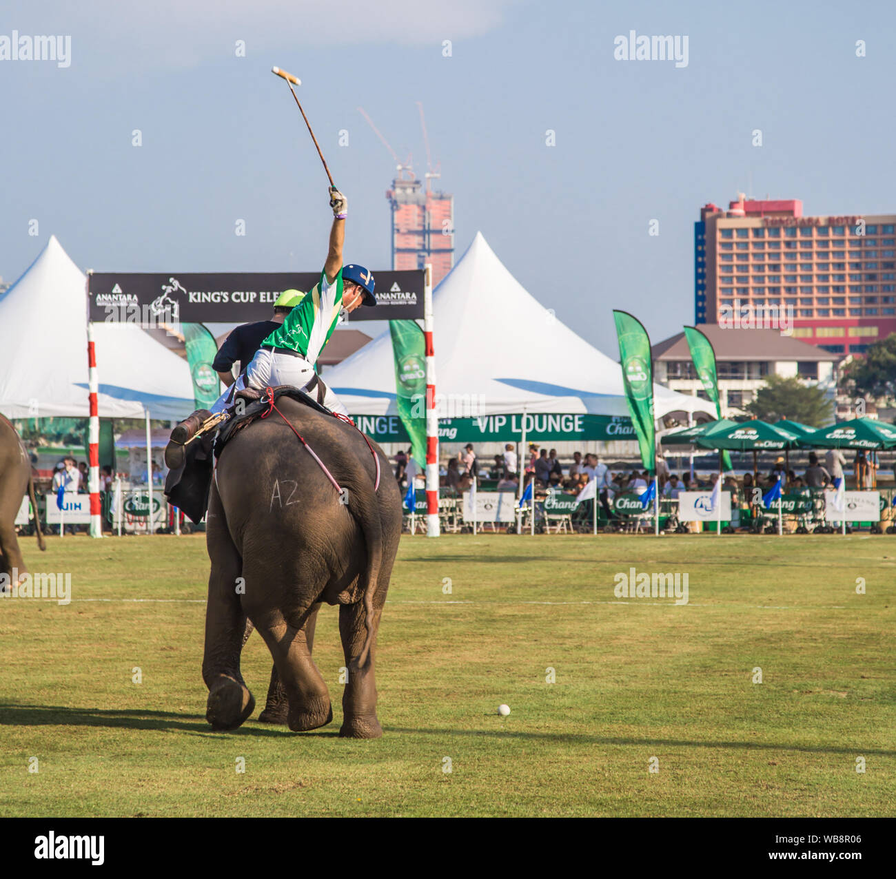 Elephant polo in jaipur hi-res stock photography and images - Alamy