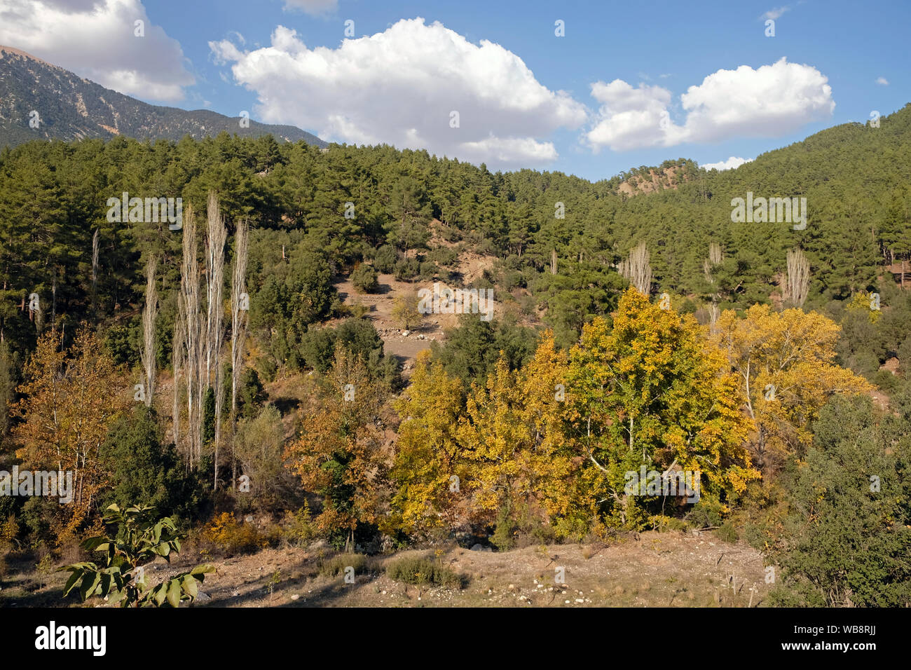 autumn colours in antalya turkey Stock Photo - Alamy