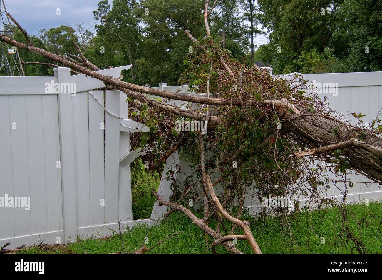 Tree Cut Metal Fence High Resolution Stock Photography and Images - Alamy
