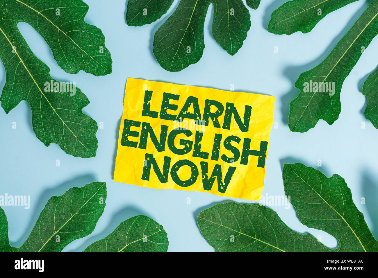 American sign language classroom hi-res stock photography and images ...