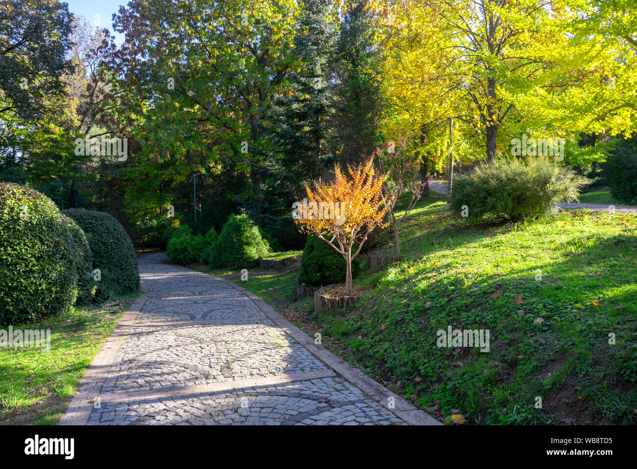 Lovely view of a forest road in the Ataturk Arboretum Park Stock Photo ...