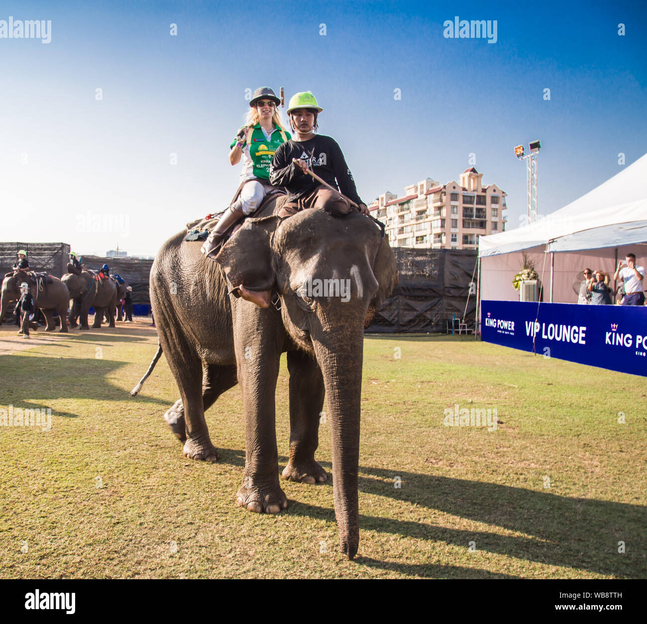 Elephant polo in jaipur hi-res stock photography and images - Alamy