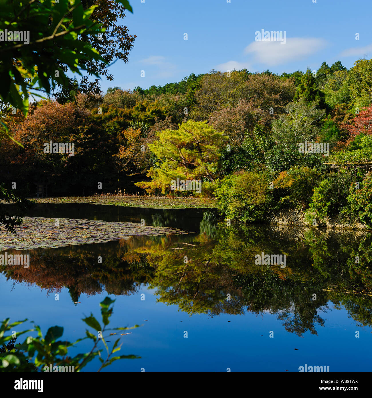 Calm water japan hi-res stock photography and images - Alamy