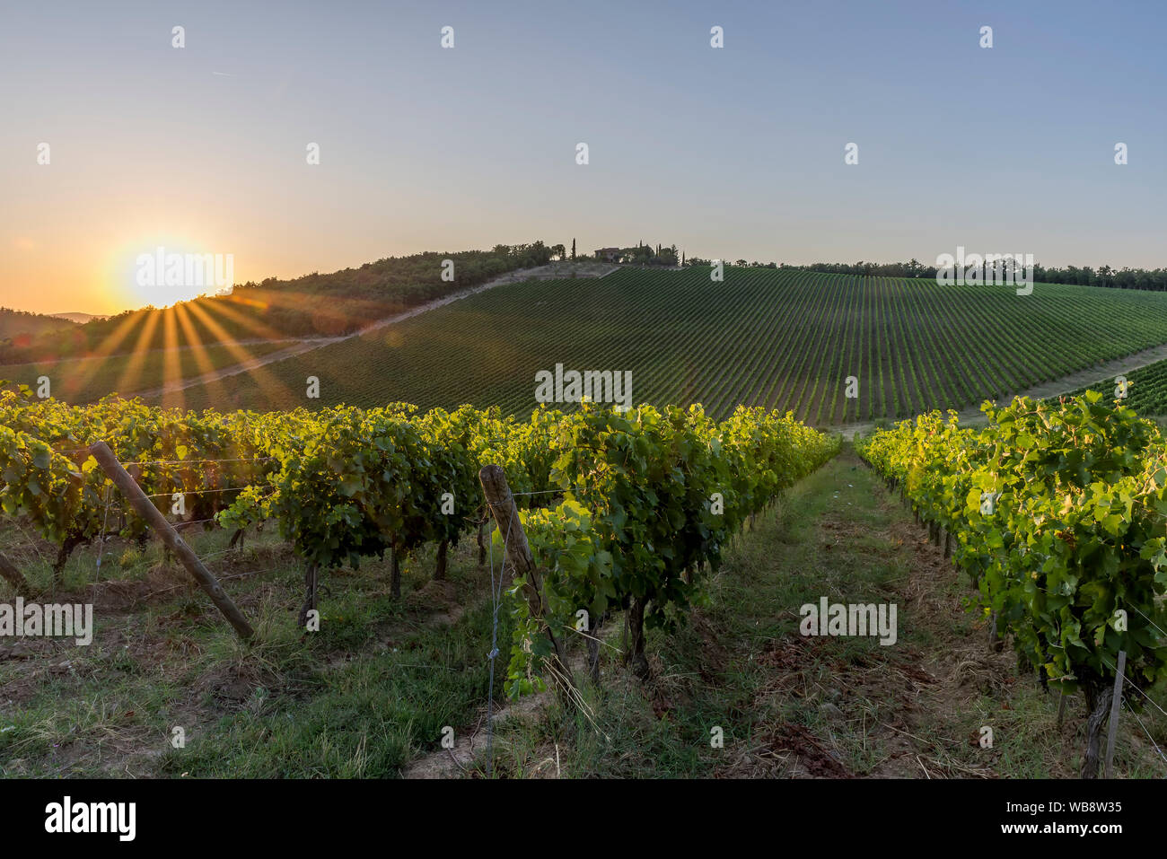 Classic tuscan scenery hi-res stock photography and images - Alamy