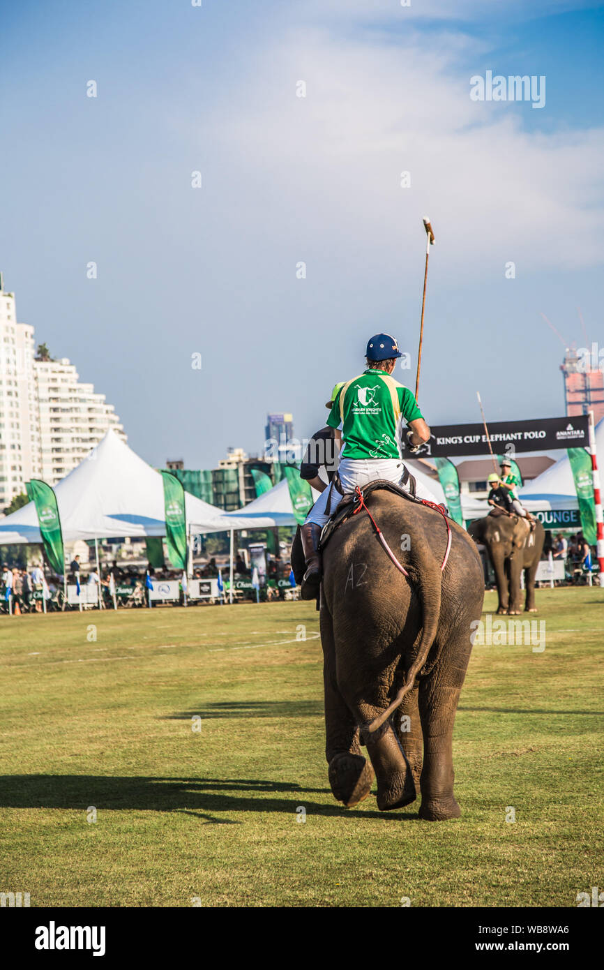 Elephant polo in jaipur hi-res stock photography and images - Alamy
