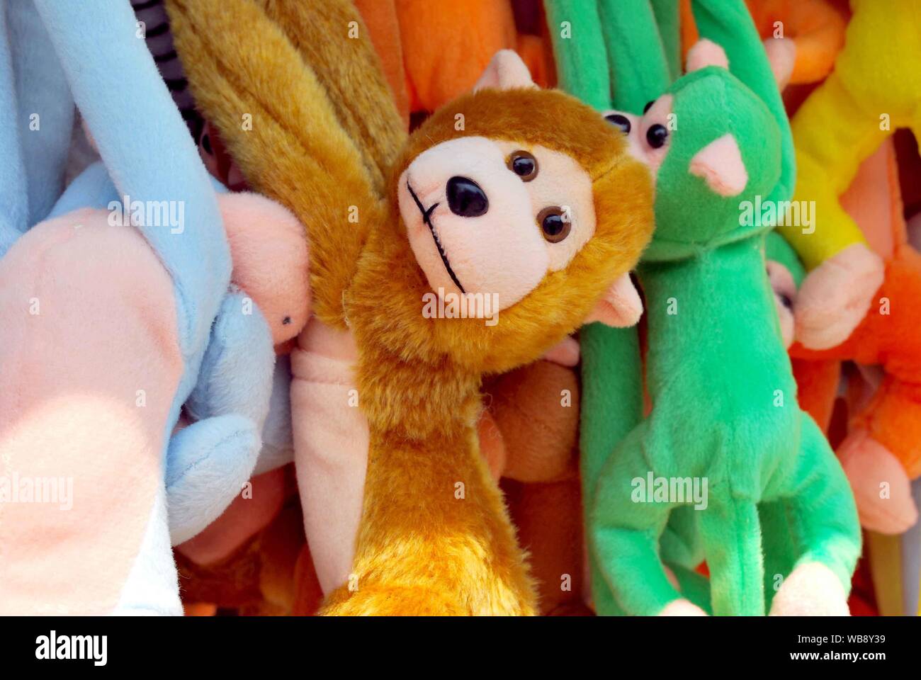 Happy monkey cartoon hi-res stock photography and images - Alamy